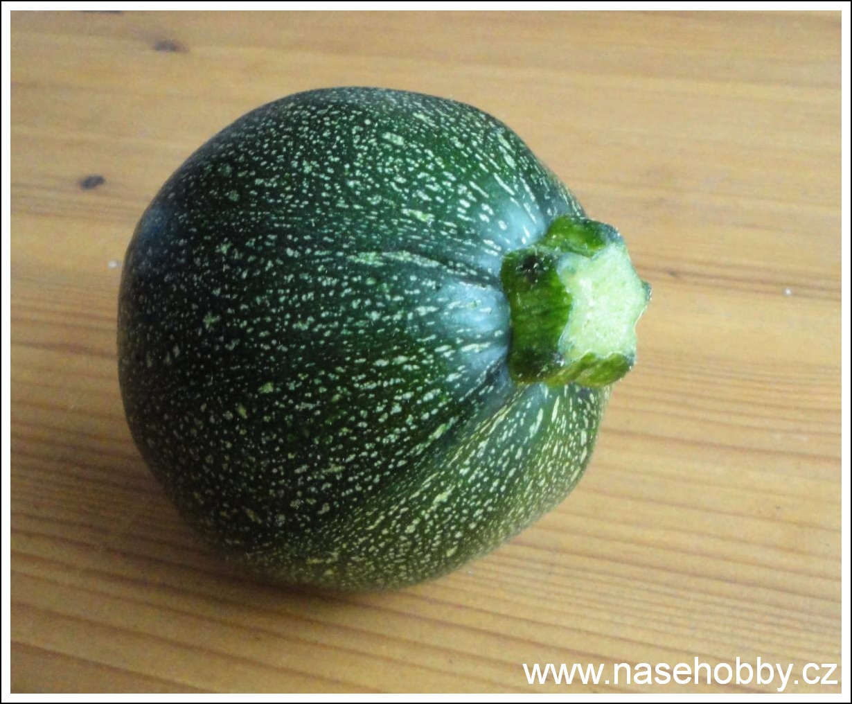 Cukety a cuketové menu - Naše hobby